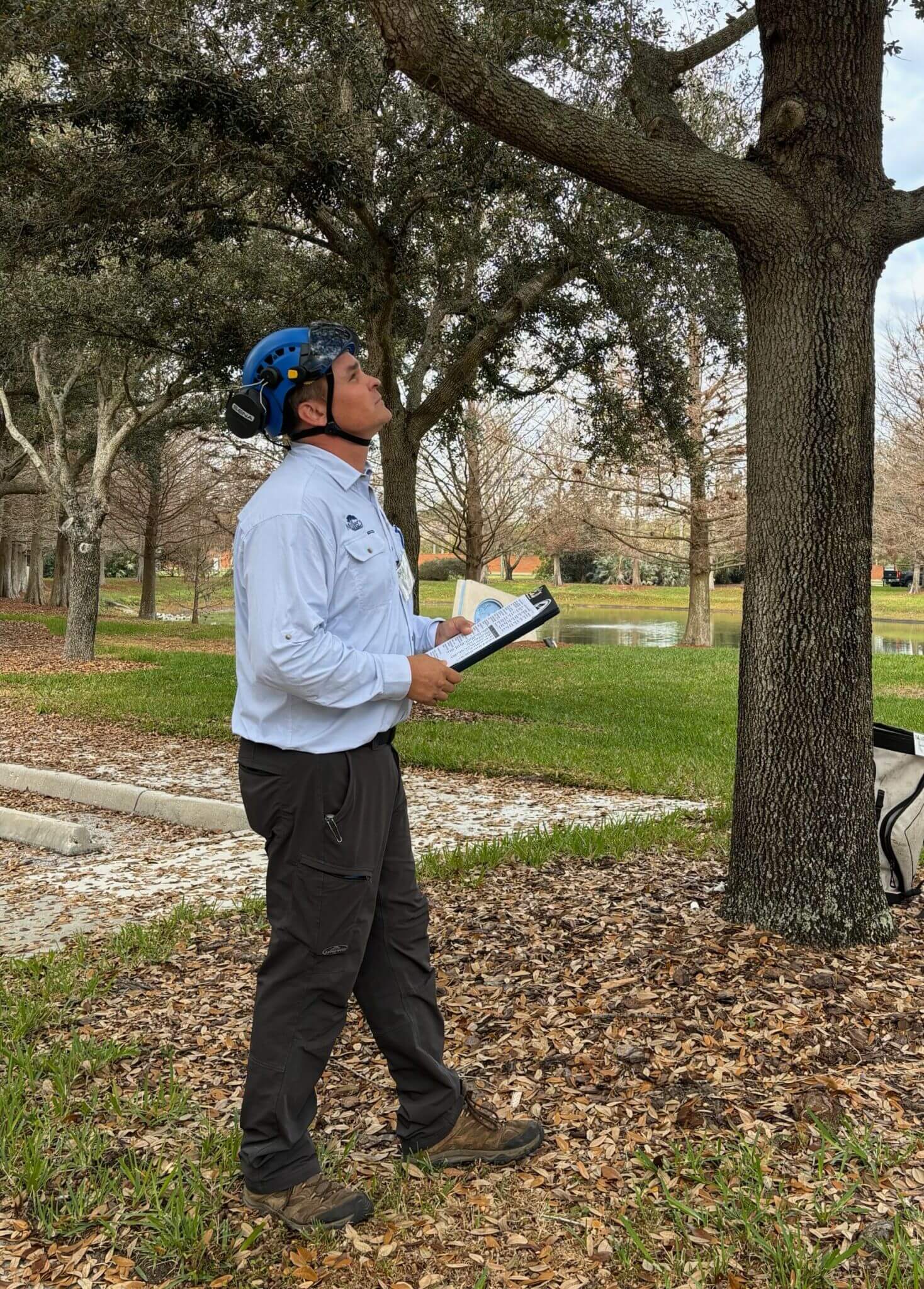 Tree Risk Assessment Qualification - Florida Chapter International ...