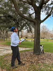 ISA Credentials - Florida Chapter International Society of Arboriculture