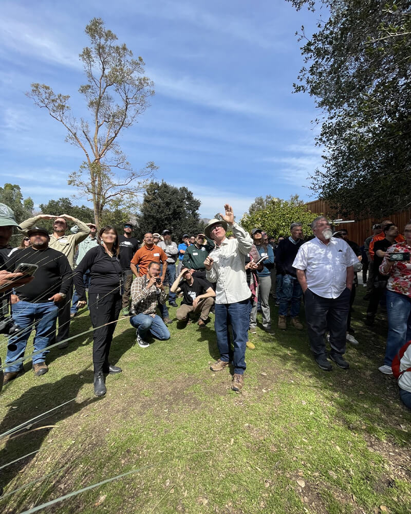 Florida Chapter Prescription Pruning Qualification (PPQ) - Florida ...